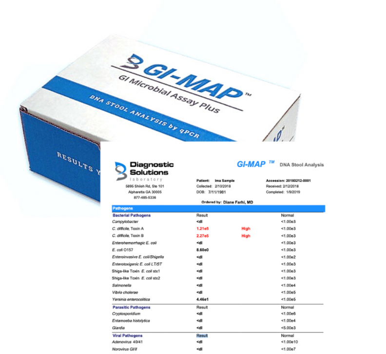 GI-MAP | GI Microbial Assay Plus – Skn From Within